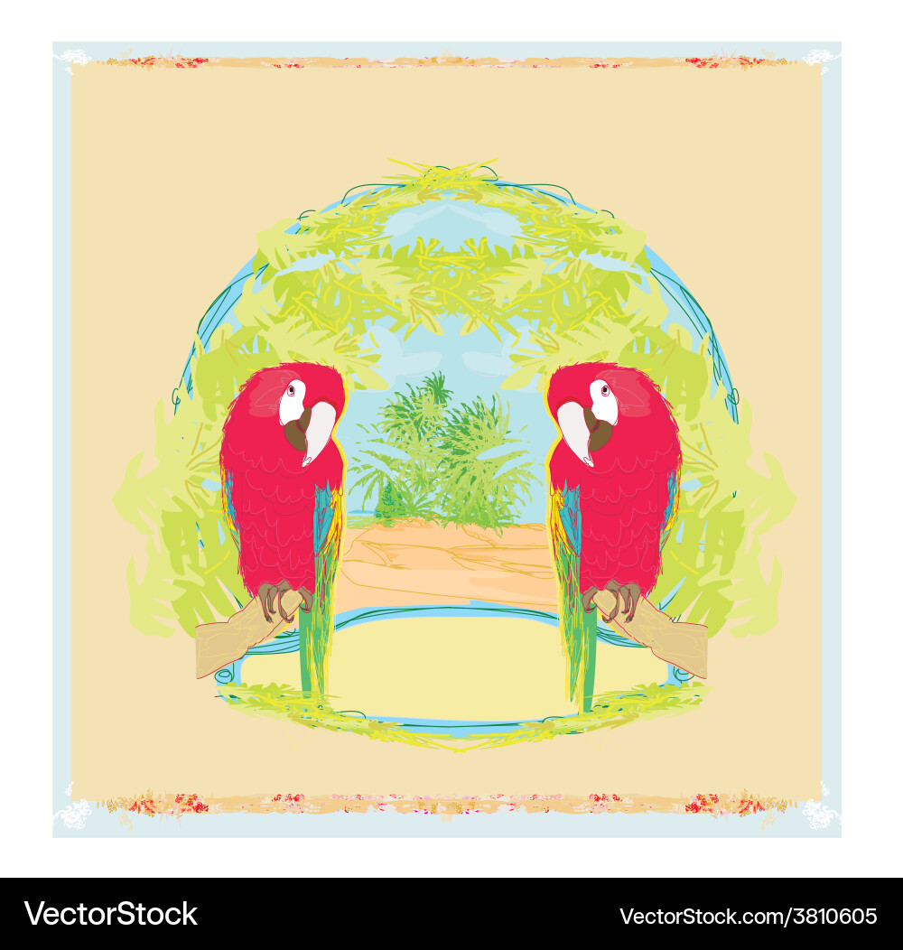 Colourful parrot bird sitting on the perch Vector Image