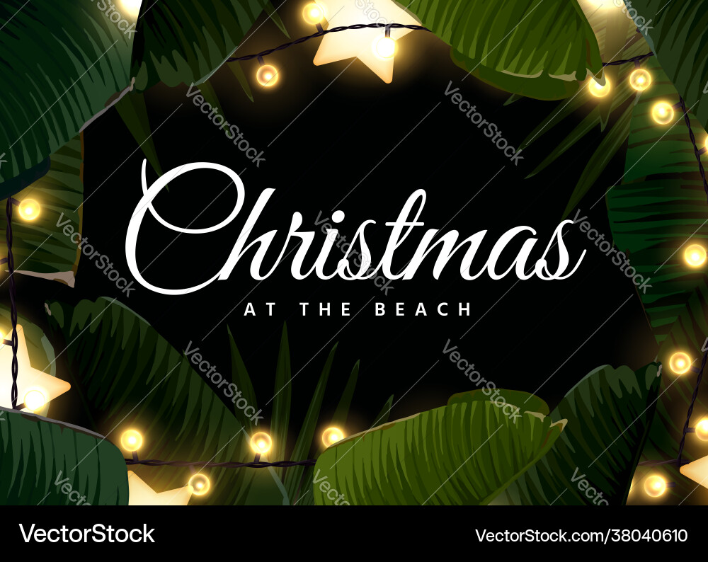Dark tropical christmas on beach frame design Vector Image