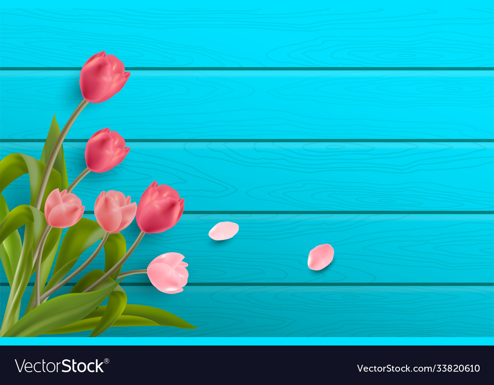 Spring background or banner design with lovely Vector Image