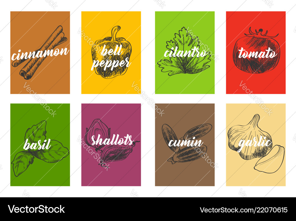 Food cooking ingredients Royalty Free Vector Image