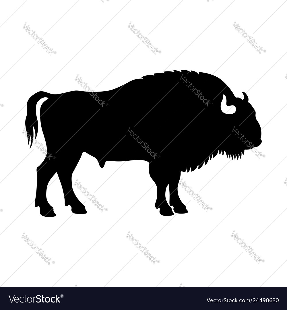 Bison Royalty Free Vector Image - VectorStock