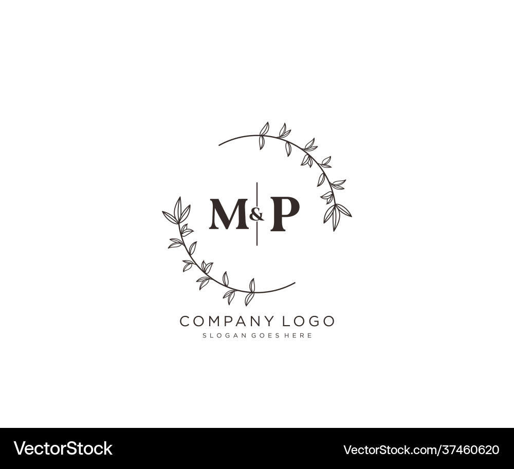 Initial mp letters beautiful floral feminine Vector Image