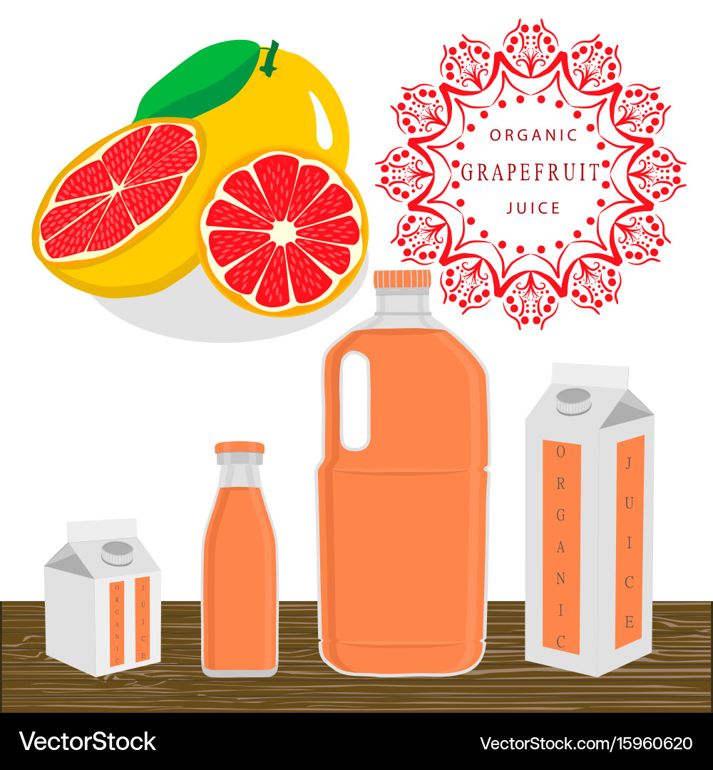 Theme grapefruit Royalty Free Vector Image - VectorStock