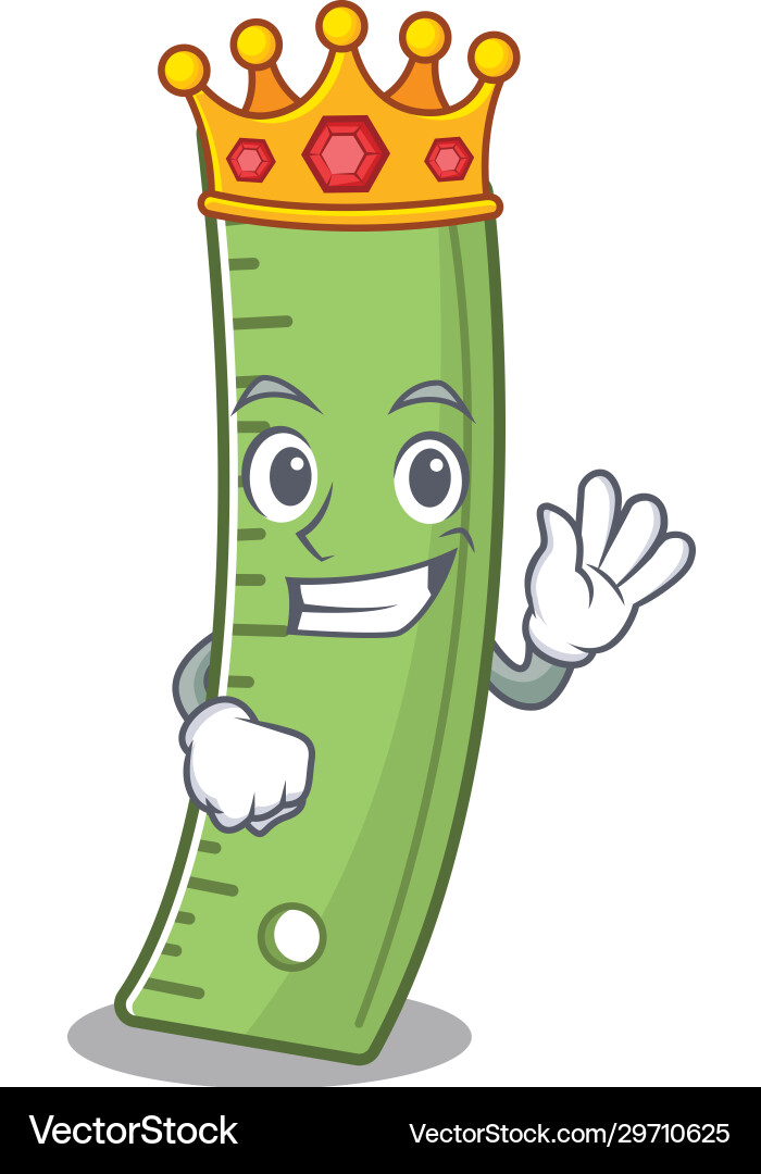 A stunning ruler stylized king on cartoon Vector Image