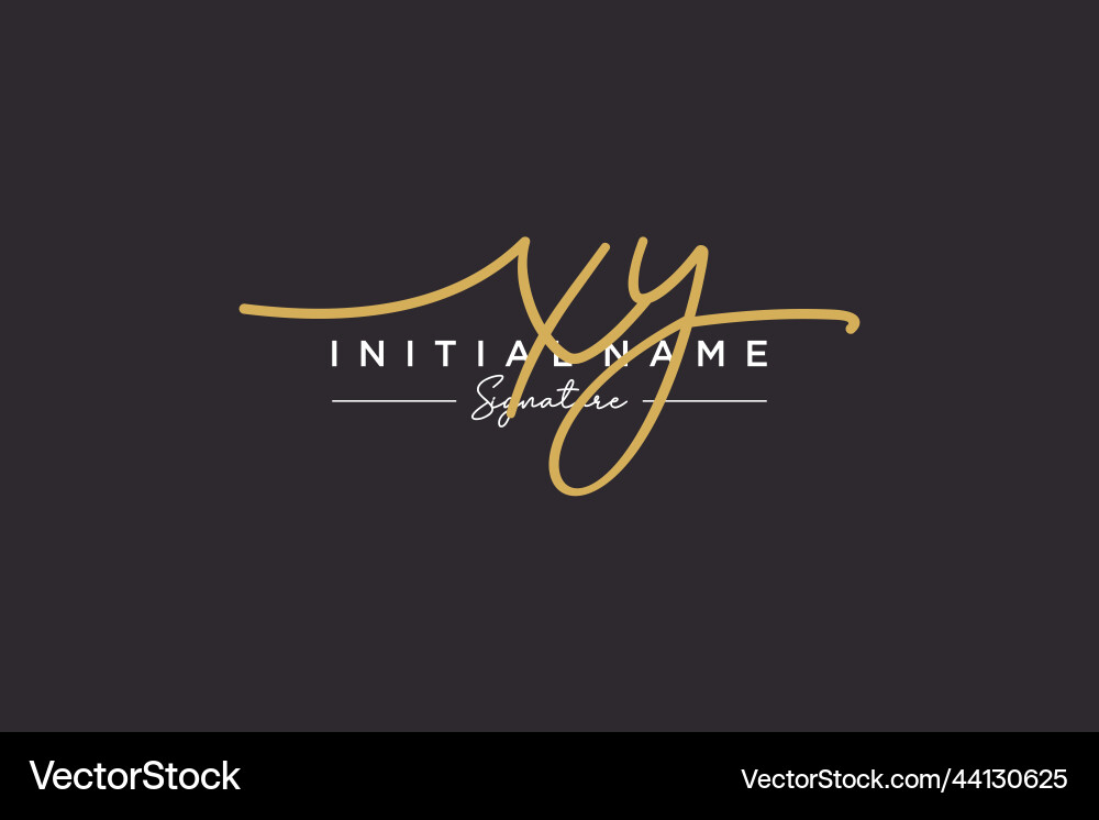 Initial xy signature logo template hand drawn Vector Image