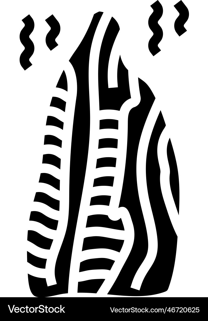 Salmon smoked glyph icon Royalty Free Vector Image