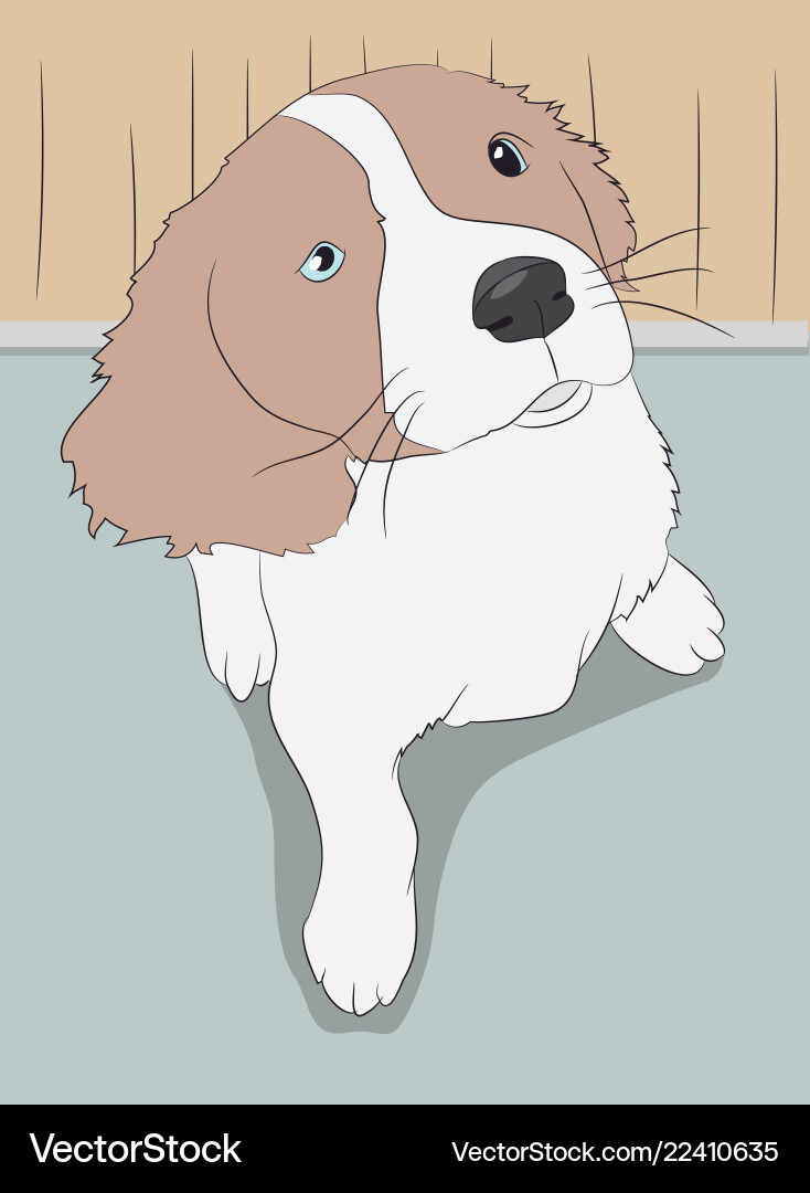 Dog sitting in a room Royalty Free Vector Image