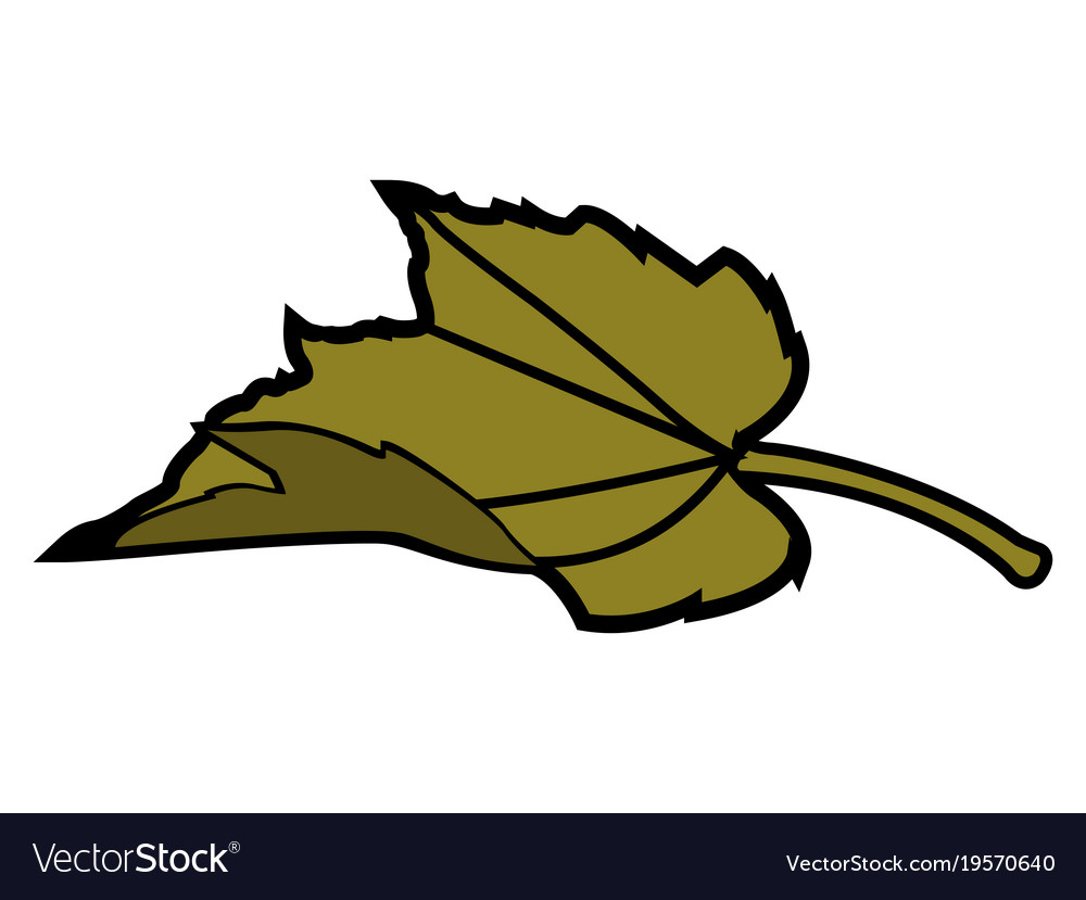 Isolated fall leaf Royalty Free Vector Image - VectorStock
