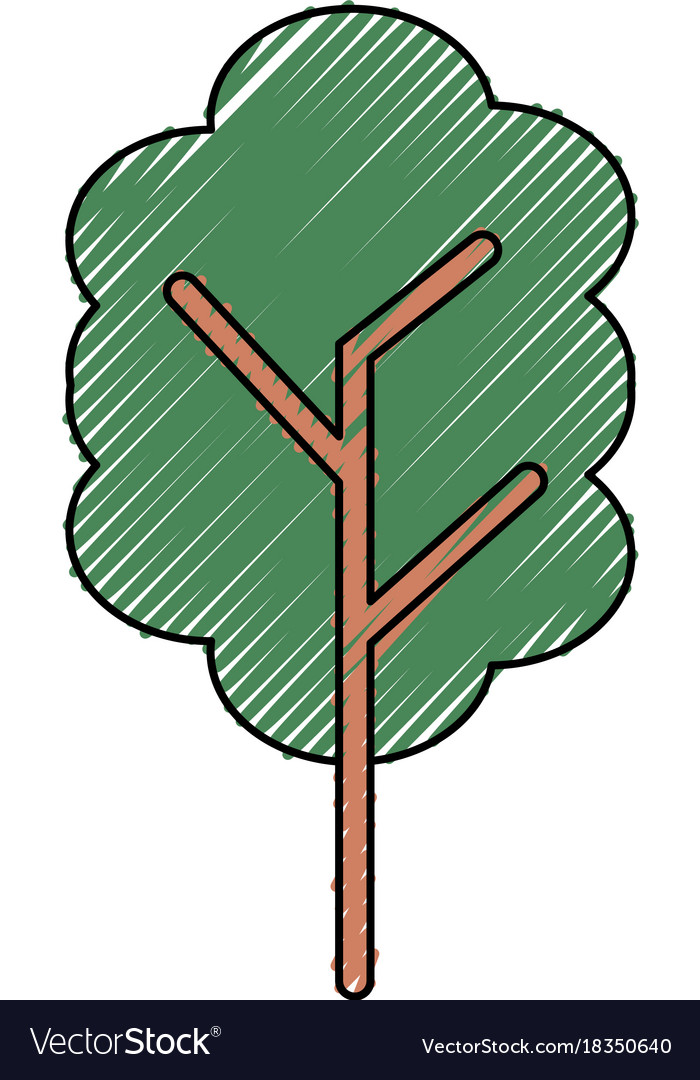 Tree Royalty Free Vector Image - VectorStock
