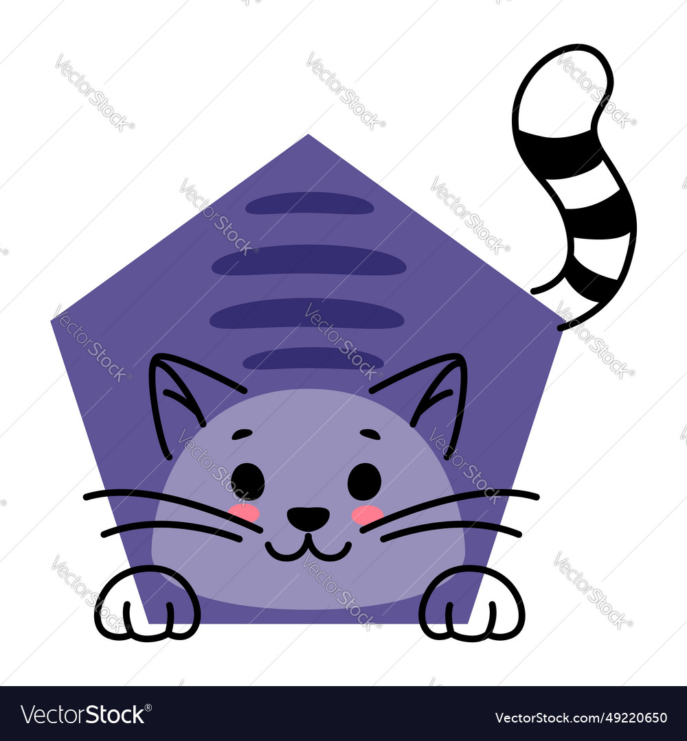 Cartoon cat animal character with math shape Vector Image
