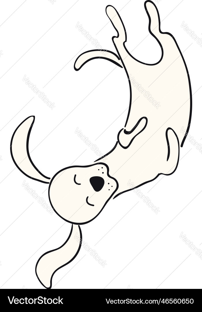Cute cartoon dog lying on its back Royalty Free Vector Image