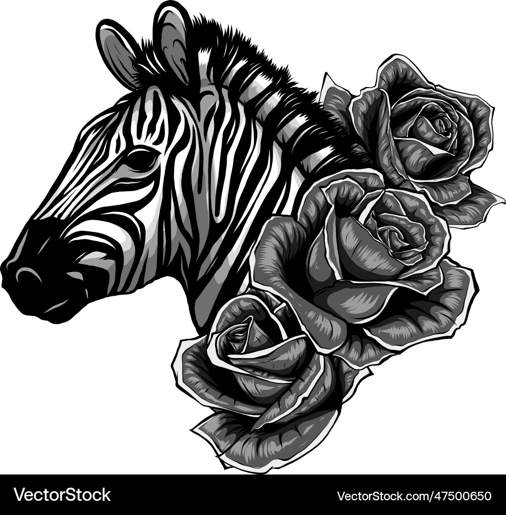 Monochromatic of zebra head Royalty Free Vector Image