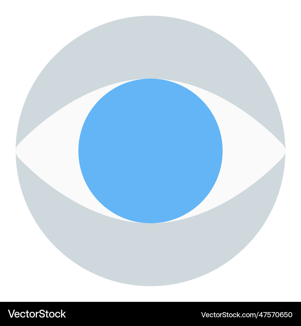 Spy software installed for monitoring Royalty Free Vector