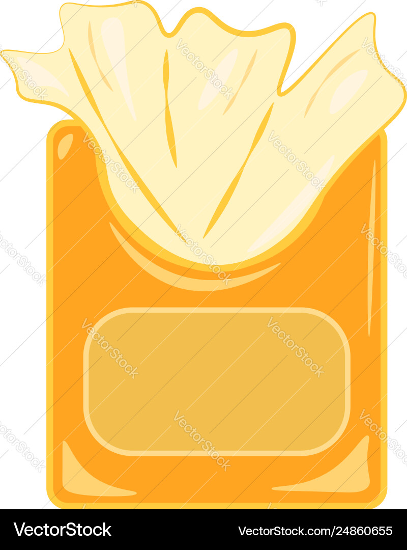A box containing tissue papers used in everyday Vector Image