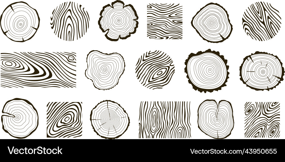 Wooden logs textures wood concepts graphics Vector Image