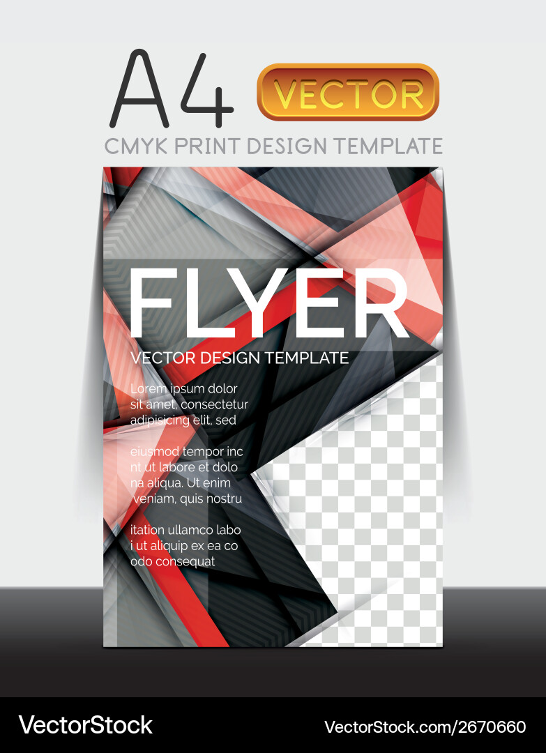 Modern flyer design Royalty Free Vector Image - VectorStock