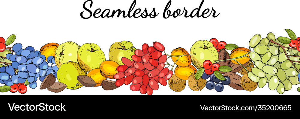 Autumn thanksgiving seamless border isolated Vector Image