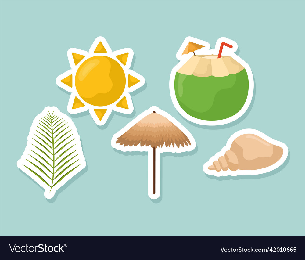 Five beach items Royalty Free Vector Image - VectorStock