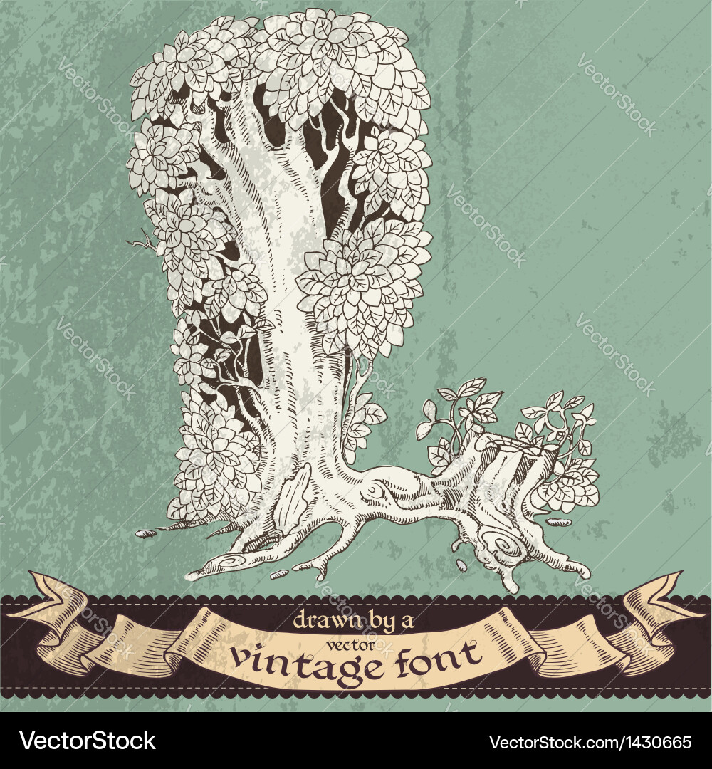 Magic grunge forest hand drawn vintage font - l Vector Image
