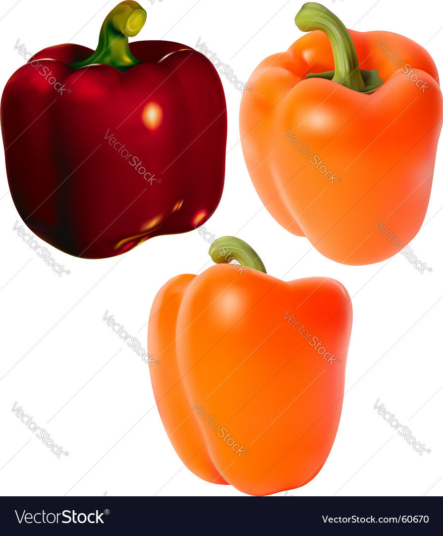 Pepper Royalty Free Vector Image - VectorStock