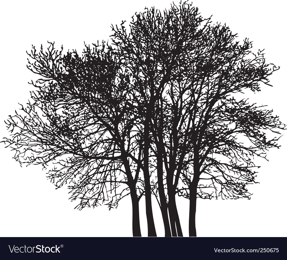 Group tree Royalty Free Vector Image - VectorStock