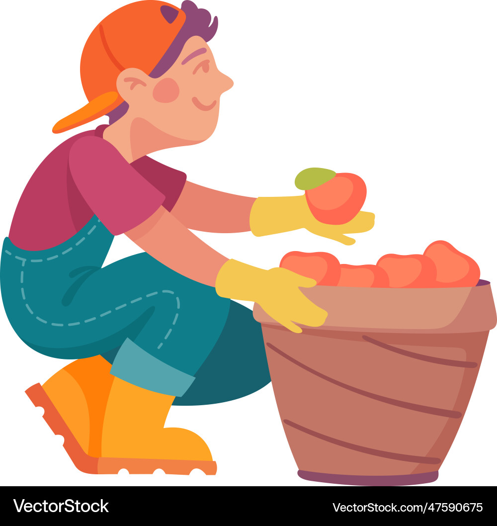 Harvesting Man Character Picking Apples In Orchard