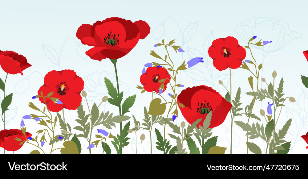 Seamless minimal hand drawn spring poppy flowers Vector Image
