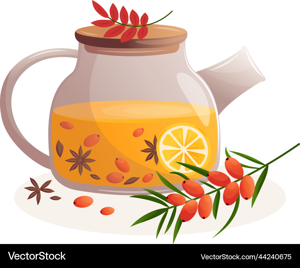 Teapot with sea buckthorn tea Royalty Free Vector Image