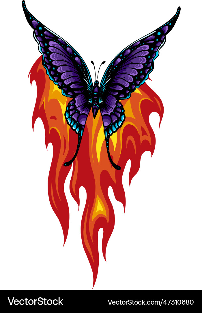 A butterfly made of fire Royalty Free Vector Image