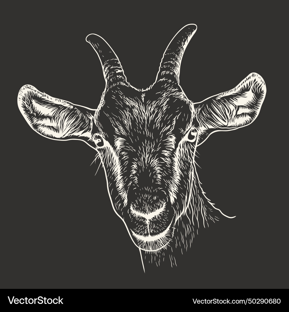 Goat head isolated on black background hand drawn Vector Image