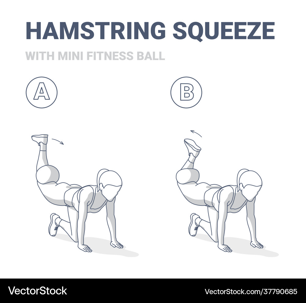 Girl doing hamstring squeeze with fitness mini Vector Image