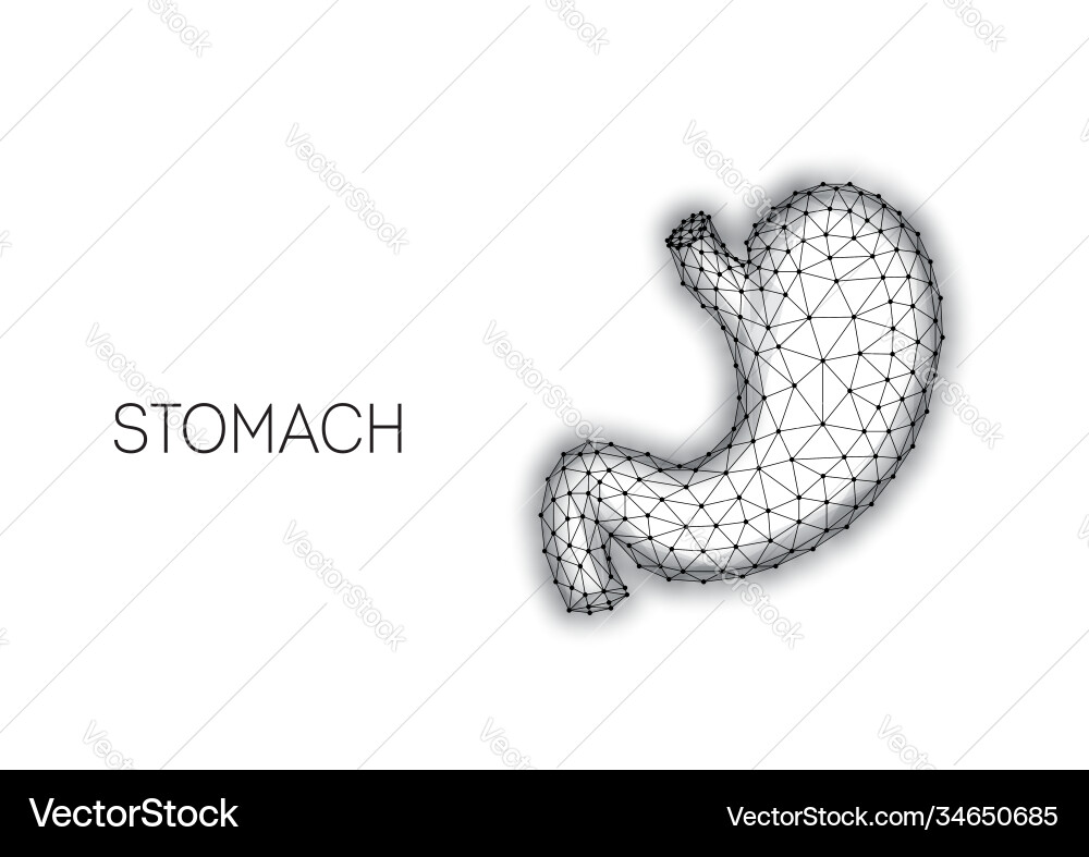 Polygonal anatomical human stomach made black Vector Image