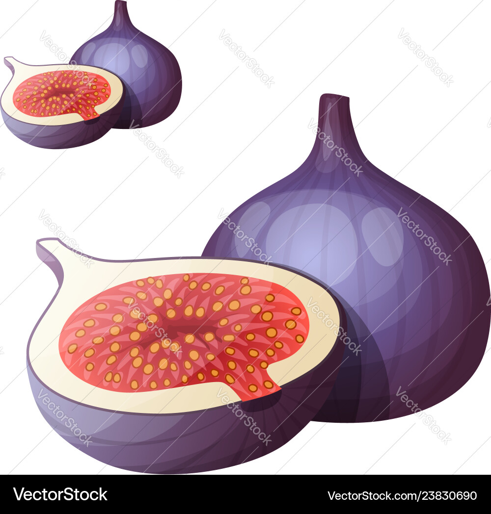 Fig fruit cartoon icon isolated on white Vector Image