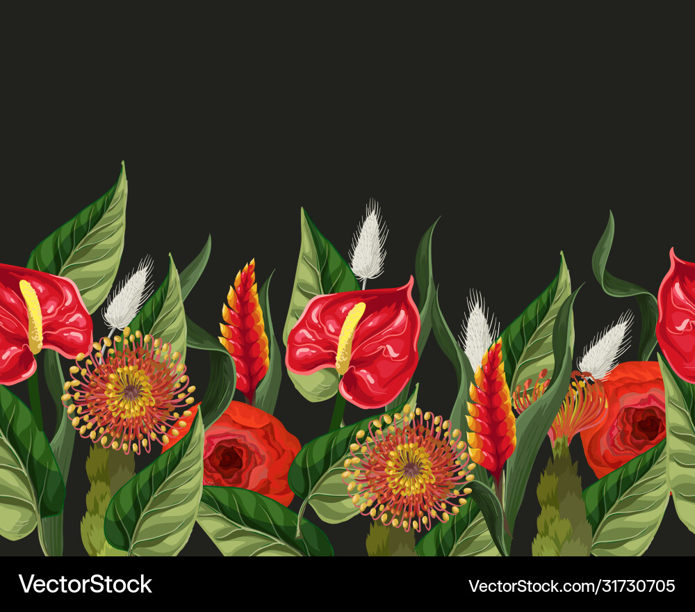 Border with anthuriums and tropical leaves Vector Image