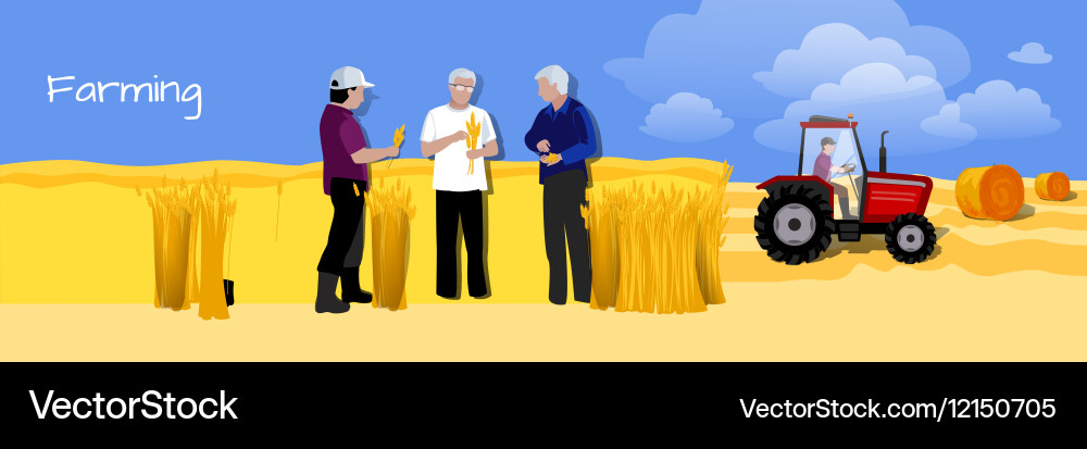 Vineyard farmyard crop harvesting flat banners Vector Image