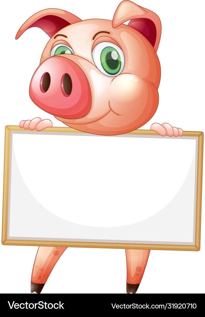 Blank sign template with cute pig on white Vector Image