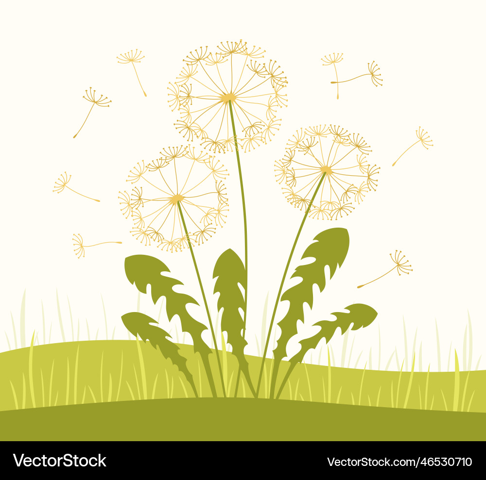 Dandelion flying seeds meadow summer Royalty Free Vector