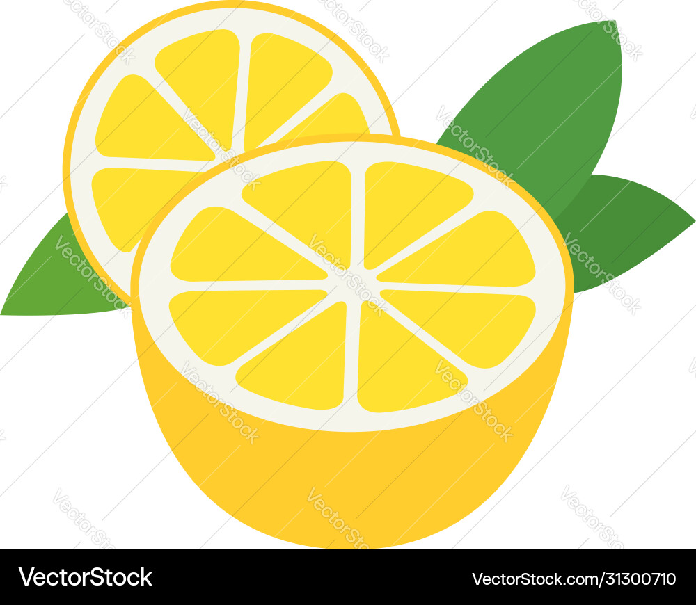 Fresh lemon fruits isolated Royalty Free Vector Image