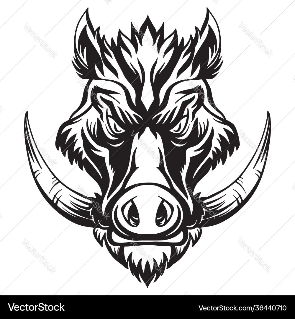 Head mascot boar isolated on white Royalty Free Vector Image