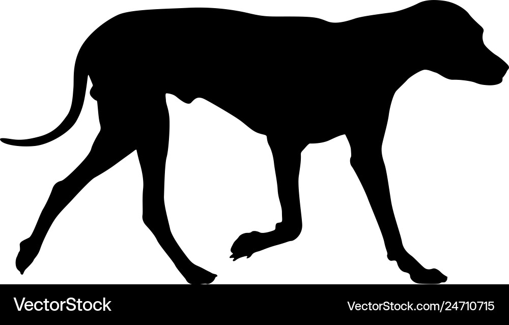 Dunker dog silhouette on a white background Vector Image