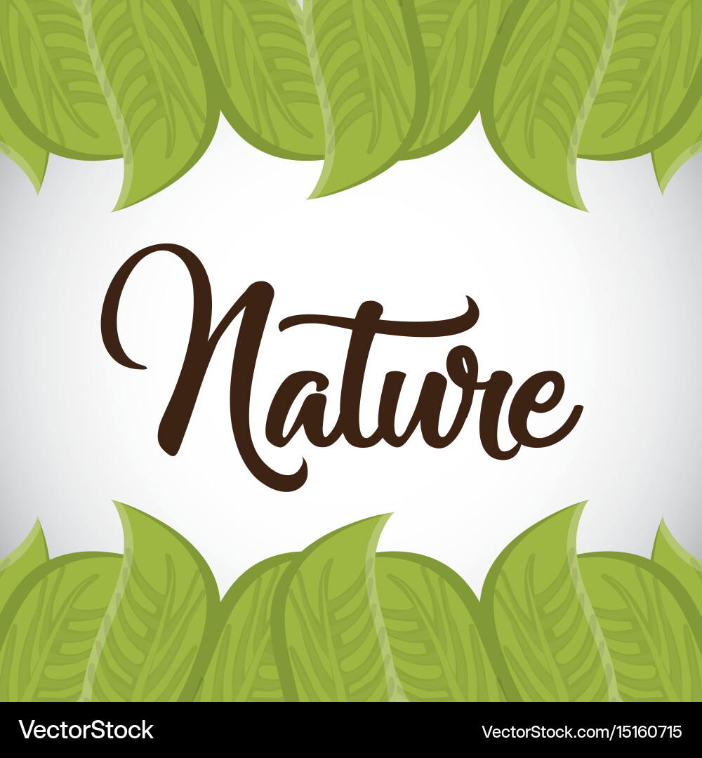 Nature and leaves design Royalty Free Vector Image