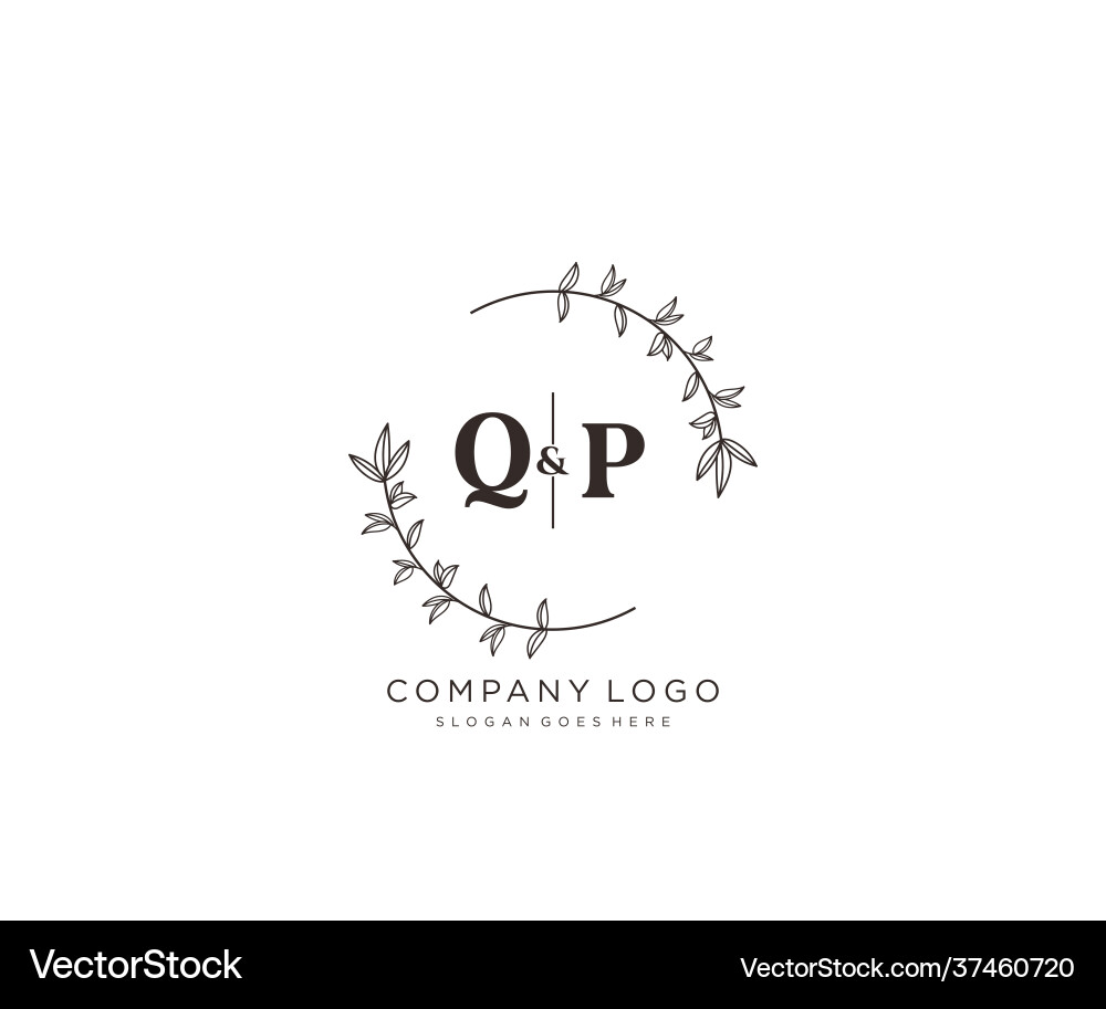 Initial qp letters beautiful floral feminine Vector Image