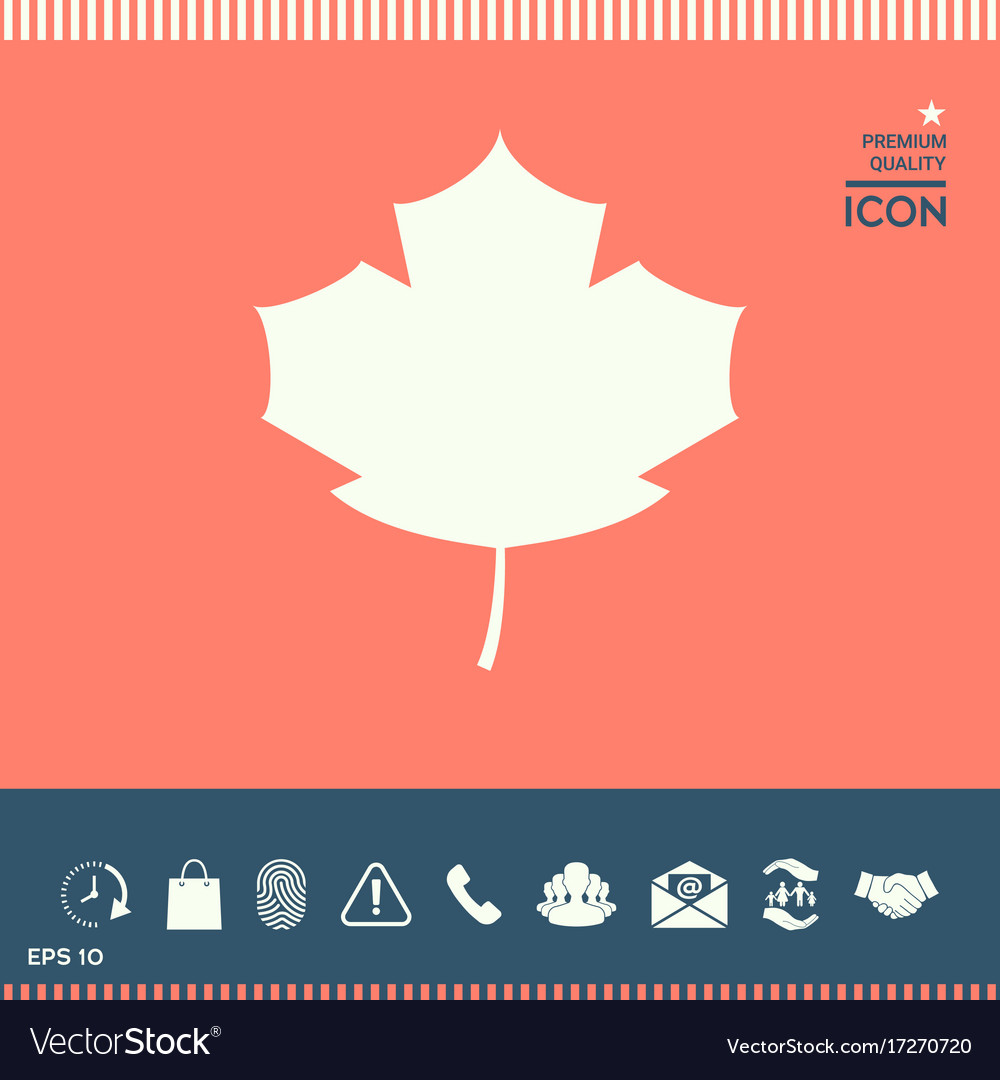 Maple leaf icon Royalty Free Vector Image - VectorStock