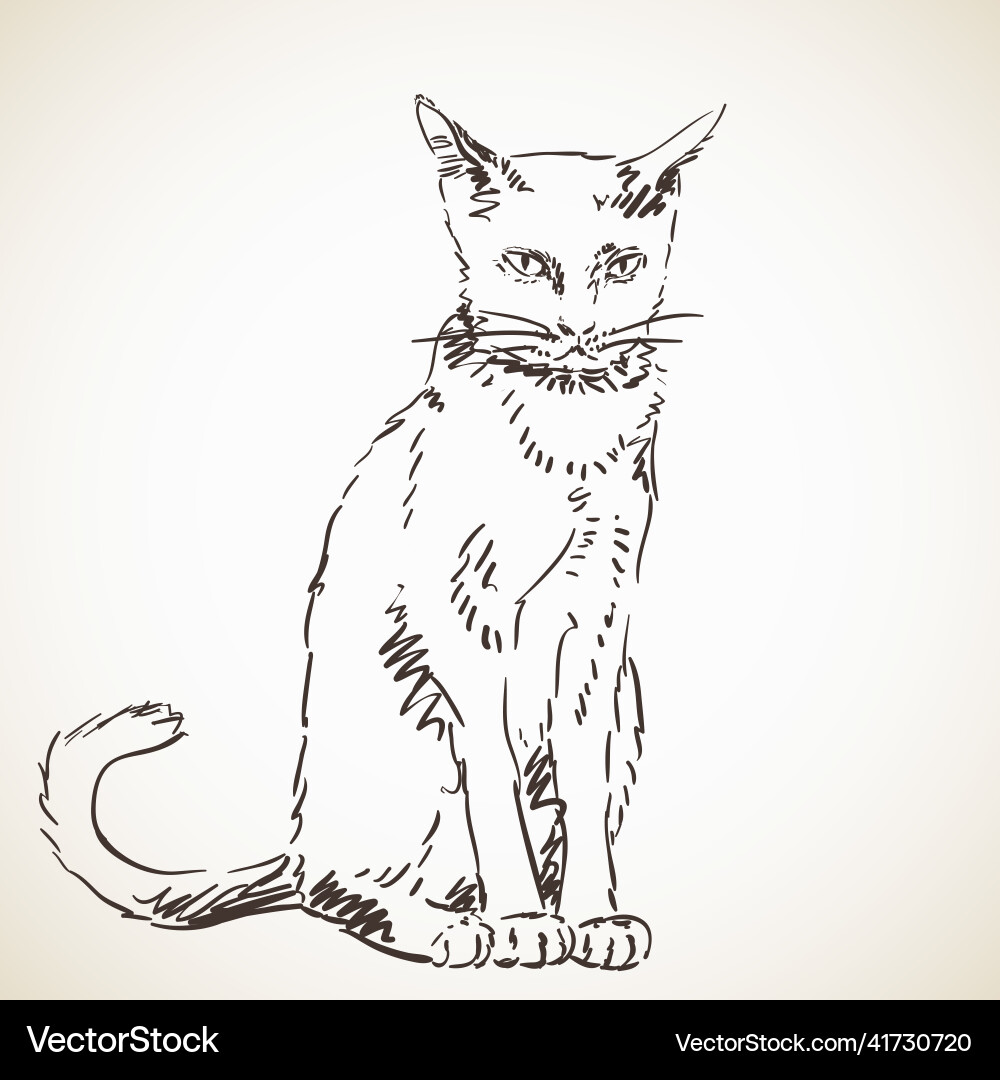Sketch of cat hand drawn Royalty Free Vector Image