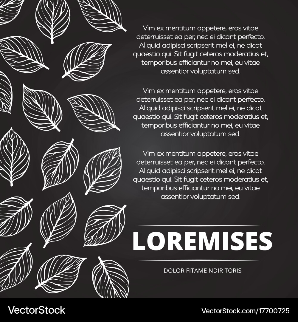 Chalkboard poster with white hand drawn doodle Vector Image