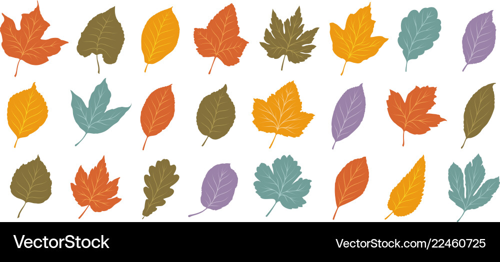 Decorative leaves set autumn leaf fall concept Vector Image
