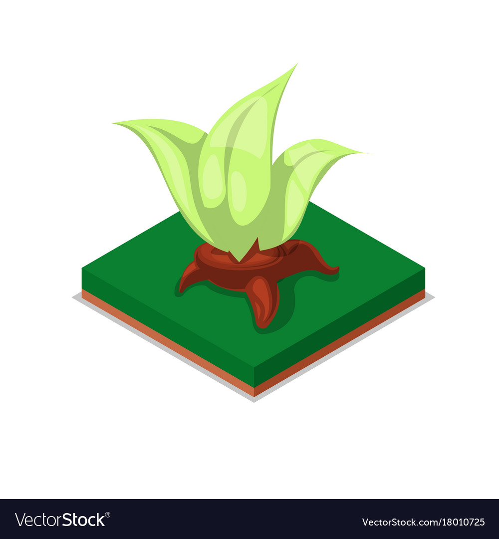 Green decorative plant isometric 3d icon Vector Image