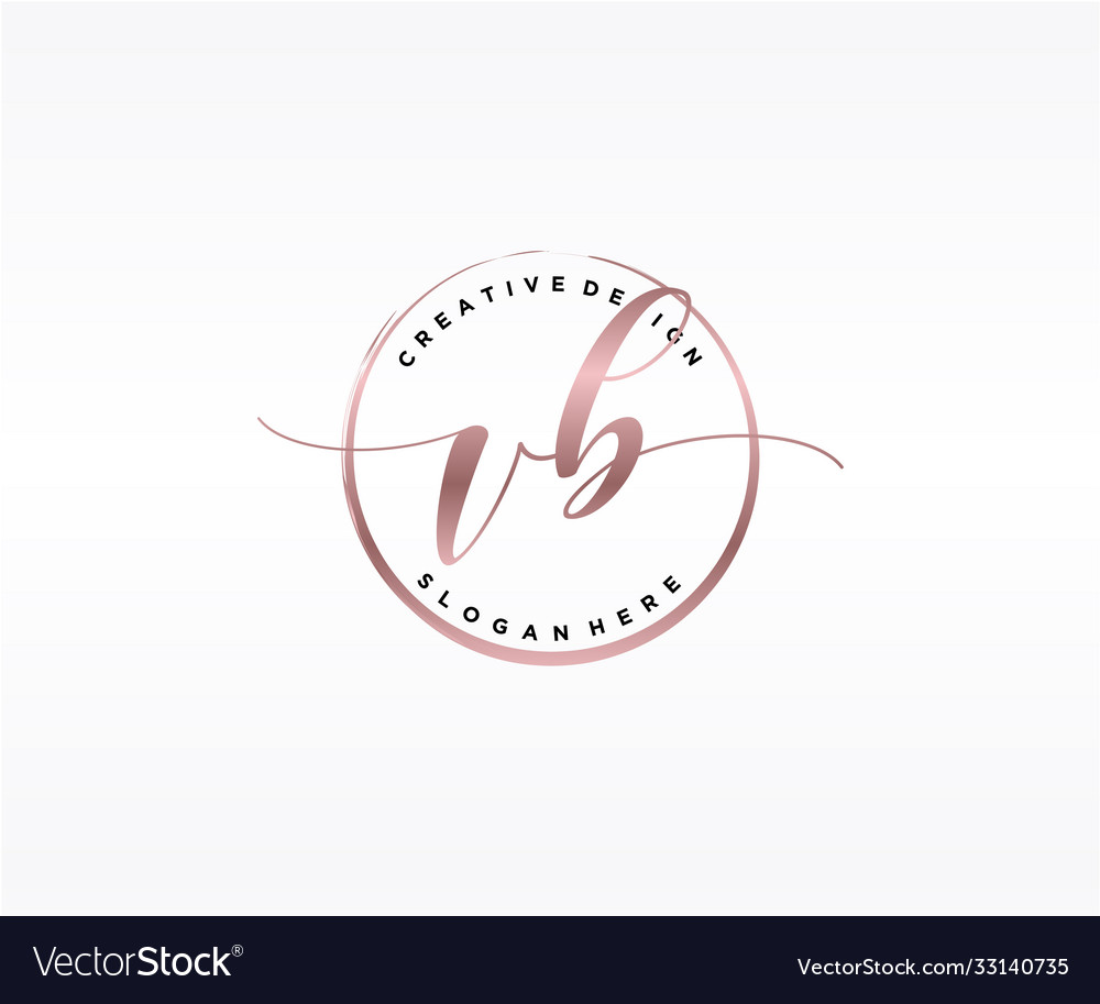 Initial vb handwriting logo with circle template Vector Image