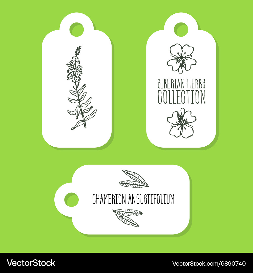 Handdrawn - health and nature set Royalty Free Vector Image