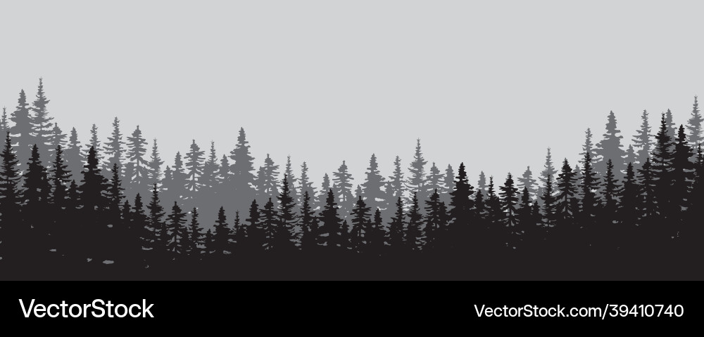 Mist valley trees silhouette nature landscape Vector Image